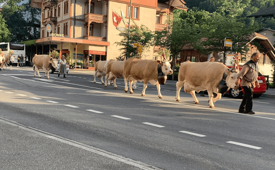Is Switzerland Worth Visiting? | 21 Reasons to Visit - Mindful PNW Travels